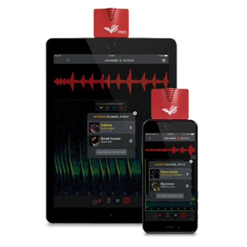 Echo Meter Touch蝙蝠声波探测器-点将科技-专注生态环境及农业科技